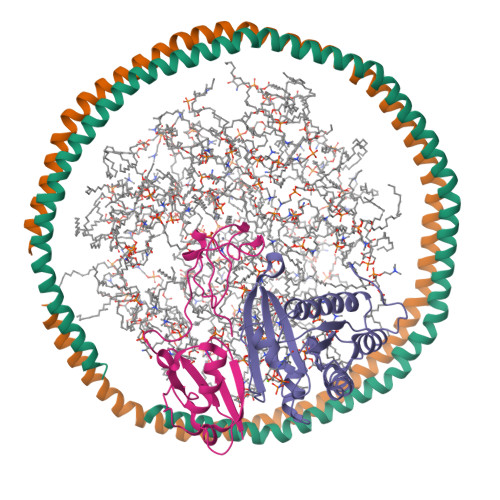 RCSB PDB - 6PTW: NMR data-driven model of KRas-GMPPNP:RBD-CRD complex ...