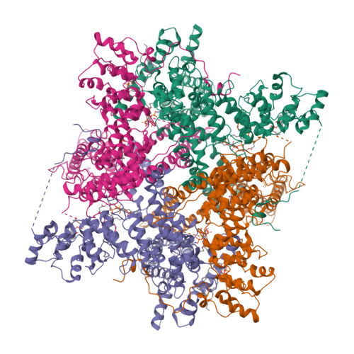 RCSB PDB - 6PW4: Cryo-EM Structure of Thermo-Sensitive TRP Channel TRP1 ...