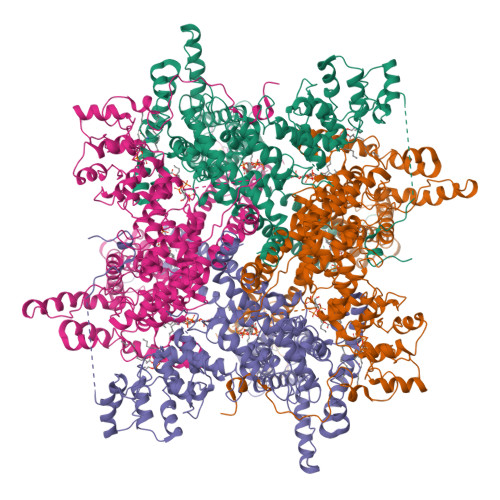 RCSB PDB - 6PW5: Cryo-EM Structure of Thermo-Sensitive TRP Channel TRP1 ...