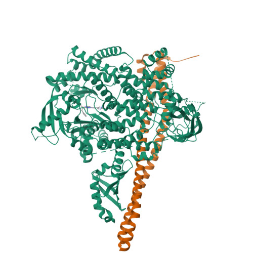 RCSB PDB - 6PYR: Human PI3Kdelta in complex with Compound 2-10 ((3S)-3 ...