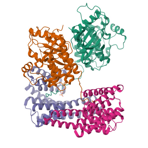 RCSB PDB - 6Q0K: Structure of a MAPK pathway complex