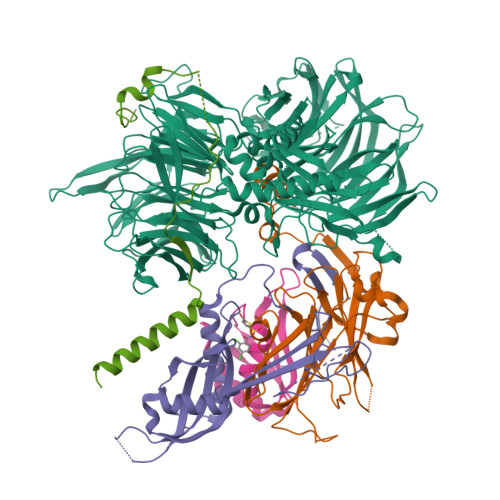 RCSB PDB - 6Q0V: Structure of DDB1-DDA1-DCAF15 complex bound to ...