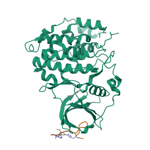 RCSB PDB - 6Q38: The Crystal structure of CK2a bound to P1-C4