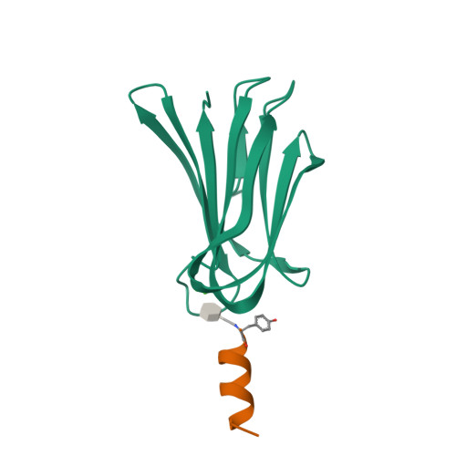 RCSB PDB - 6Q6W: Structure of Fucosylated D-antimicrobial peptide SB5 ...