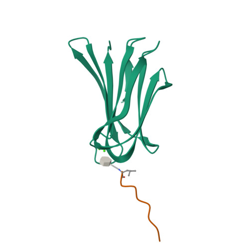 RCSB PDB - 6Q8D: Structure of Fucosylated D-antimicrobial peptide SB15 ...