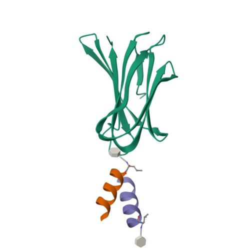 RCSB PDB - 6Q8H: Structure of Fucosylated D-antimicrobial peptide SB10 ...