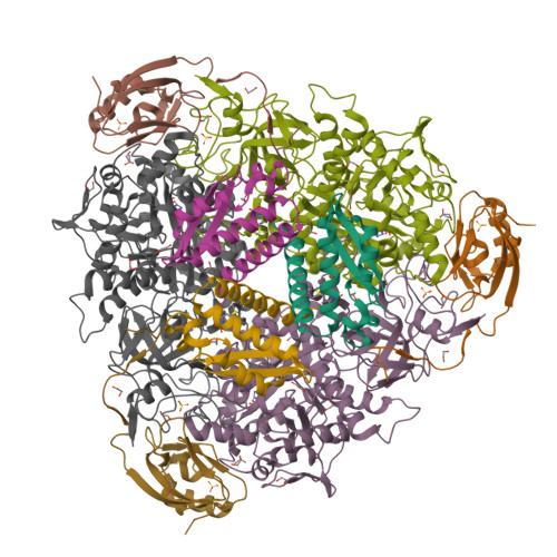 RCSB PDB - 6QDY: The crystal structure of Sporosarcina pasteurii urease ...