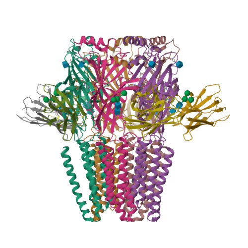 RCSB PDB - 6QFA: CryoEM structure of a beta3K279T GABA(A)R homomer in ...