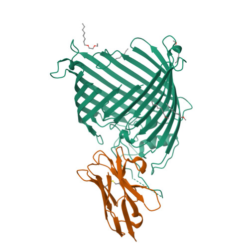 RCSB PDB - 6QGY: Crystal structure of E.coli BamA beta-barrel in ...
