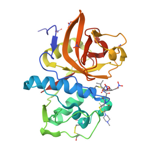 RCSB PDB - 6QL8: Cathepsin-K in complex with MIV-711