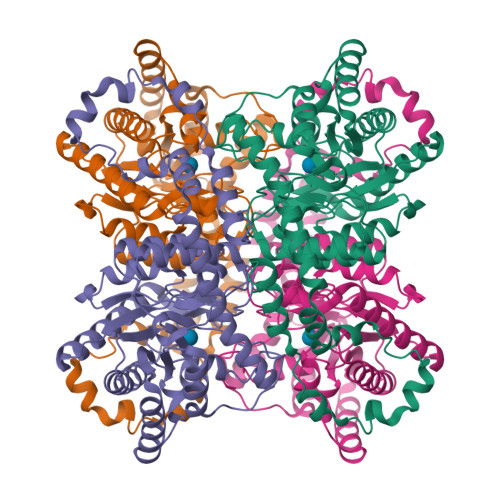 RCSB PDB - 6QNC: Liquid Application Method for time-resolved Analyses ...