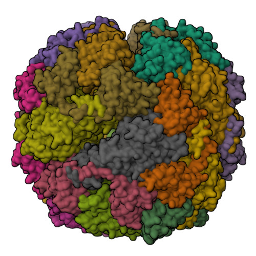 RCSB PDB - 6QSU: Helicobacter pylori urease with BME bound in the ...