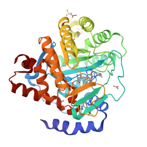 RCSB PDB - 6QU7: Crystal structure of human DHODH in complex with BAY ...