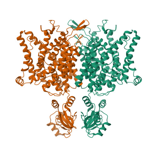 RCSB PDB - 6QVU: CryoEM structure of the human ClC-1 chloride channel ...