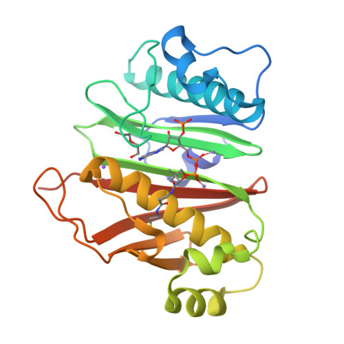 RCSB PDB - 6QWU: 4'-phosphopantetheinyl transferase PptAb from ...