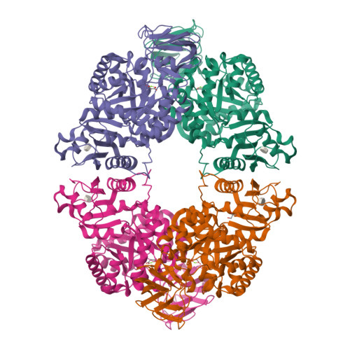 RCSB PDB - 6QXL: Crystal Structure of Pyruvate Kinase II (PykA) from ...