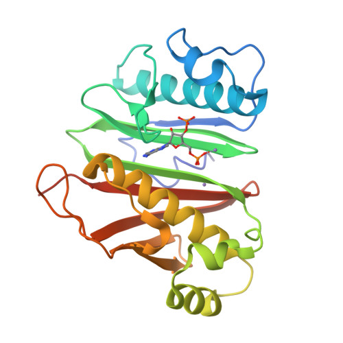 RCSB PDB - 6QXQ: 4'-phosphopantetheinyl transferase PptAb from ...