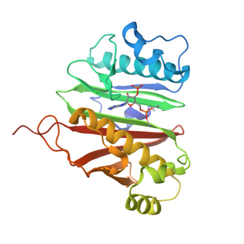 RCSB PDB - 6QXR: 4'-phosphopantetheinyl transferase PptAb from ...