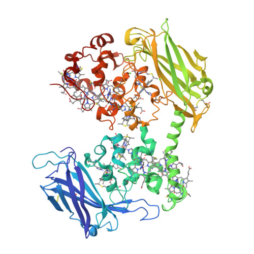 RCSB PDB - 6QYC: Crystal structure of MtrC from Shewanella baltica OS185