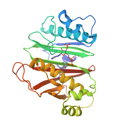 RCSB PDB - 6QYF: 4'-phosphopantetheinyl transferase PptAb from ...
