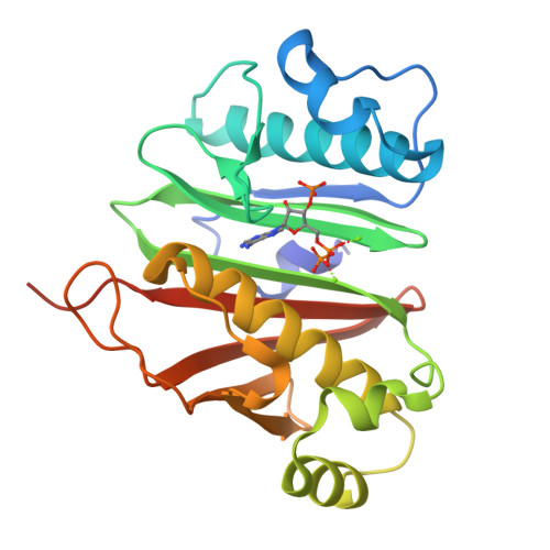 RCSB PDB - 6QYG: 4'-phosphopantetheinyl transferase PptAb from ...