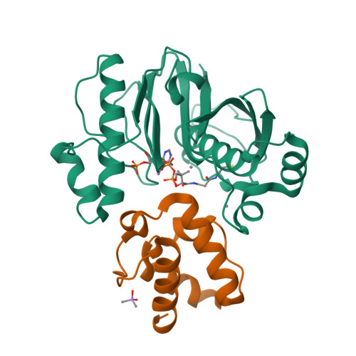 RCSB PDB - 6RCX: Mycobacterial 4'-phosphopantetheinyl transferase PptAb ...