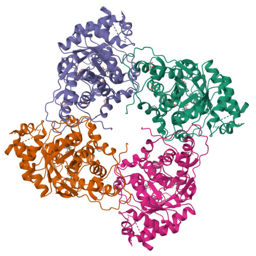 RCSB PDB - 6RHT: Structure of Pediococcus acidilactici putative lactate ...