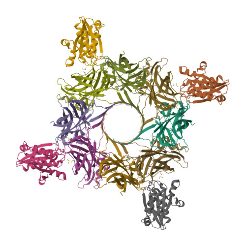 RCSB PDB - 6RHW: Crystal structure of human CD11b I-domain (CD11b-I) in ...