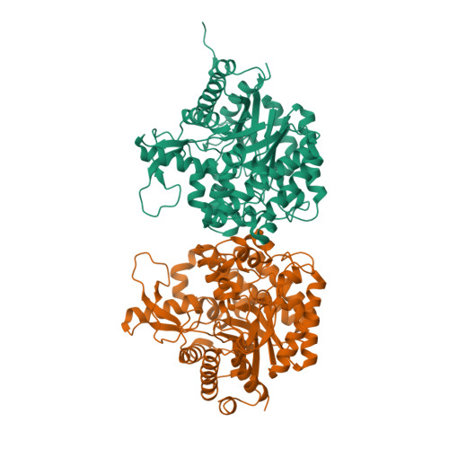 RCSB PDB - 6RJK: Structure of virulence factor SghA from Agrobacterium ...