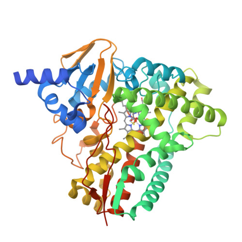 RCSB PDB - 6RO8: The crystal structure of Acinetobacter radioresistens ...