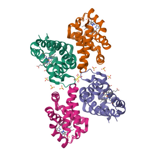 RCSB PDB - 6RP5: Crystal structure of monocarboxylated hemoglobin from ...