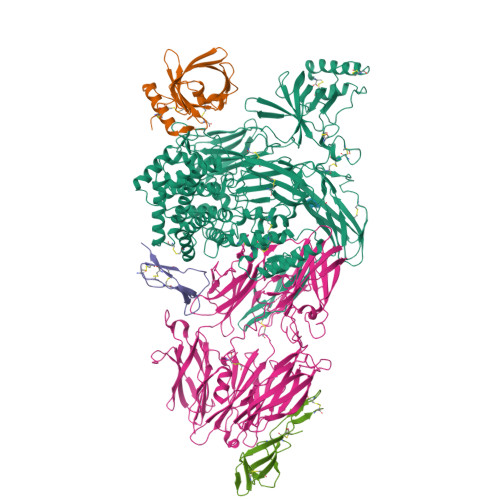 RCSB PDB - 6RQJ: Structure of human complement C5 complexed with tick ...