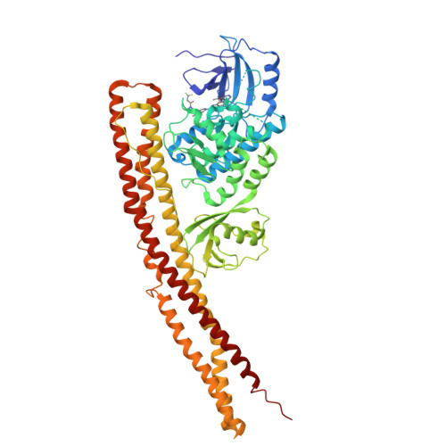 RCSB PDB - 6RSU: TBK1 in complex with Inhibitor compound 35