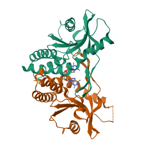 RCSB PDB - 6S26: Crystal structure of human wild type STING in complex ...