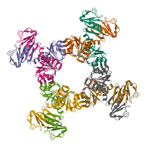 RCSB PDB - 6S2J: Square conformation of KtrA R16K mutant ring with ...