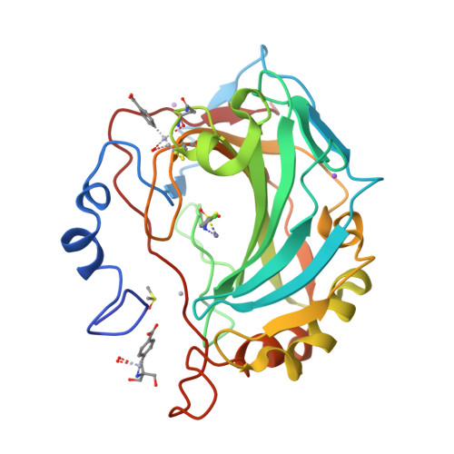 RCSB PDB - 6SB7: Human Carbonic Anhydrase II in complex with fragment.