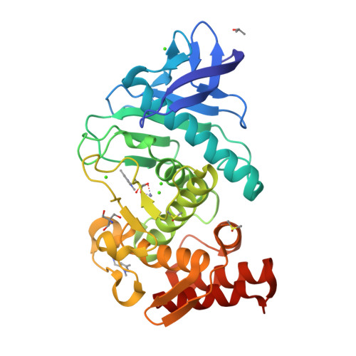 RCSB PDB - 6SBK: THERMOLYSIN IN COMPLEX WITH FRAGMENT J13