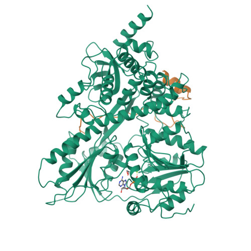 RCSB PDB - 6SH6: Crystal structure of the human DEAH-helicase DHX15 in ...