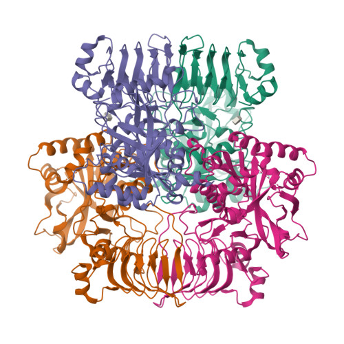 RCSB PDB - 6SHN: Escherichia coli AGPase in complex with FBP. Symmetry C1