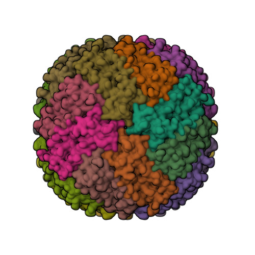 RCSB PDB - 6SHT: Molecular structure of mouse apoferritin resolved at 2 ...