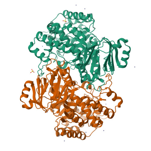 RCSB PDB - 6SJ0: Amidohydrolase, AHS