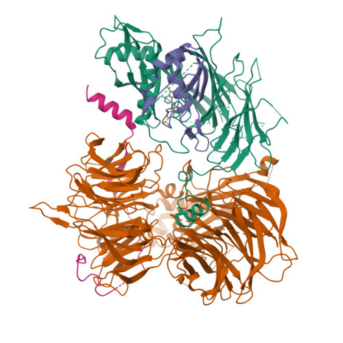 RCSB PDB - 6SJ7: Structure of the human DDB1-DDA1-DCAF15 E3 ubiquitin ...