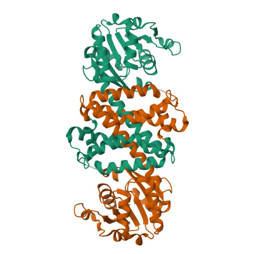 RCSB PDB - 6SKX: Structure of Reductive Aminase from Neosartorya fumigata