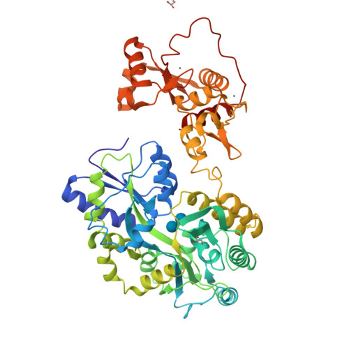 Rcsb Pdb 6slm Crystal Structure Of Full Length Hpv31 E6 Oncoprotein In Complex With Lxxll
