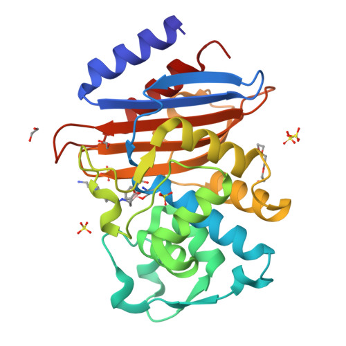 RCSB PDB - 6SP6: Ultra-high Resolution Crystal Structure of the CTX-M ...