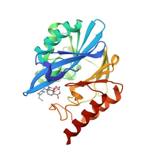 RCSB PDB - 6SP7: Crystal Structure of the VIM-2 Acquired Metallo-beta ...