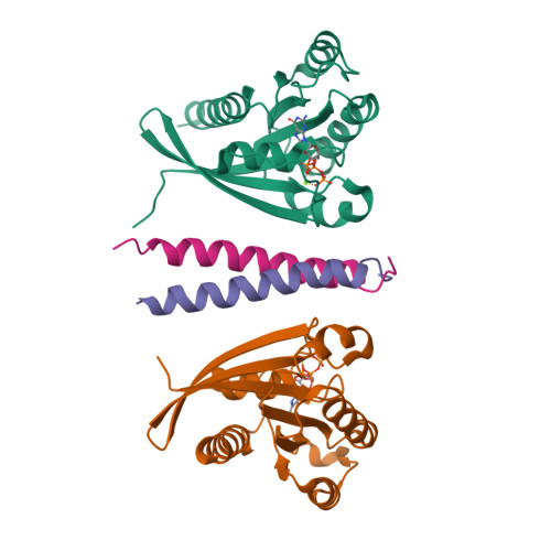RCSB PDB - 6SQ2: Structure of a phosphomimetic switch 2 variant of ...