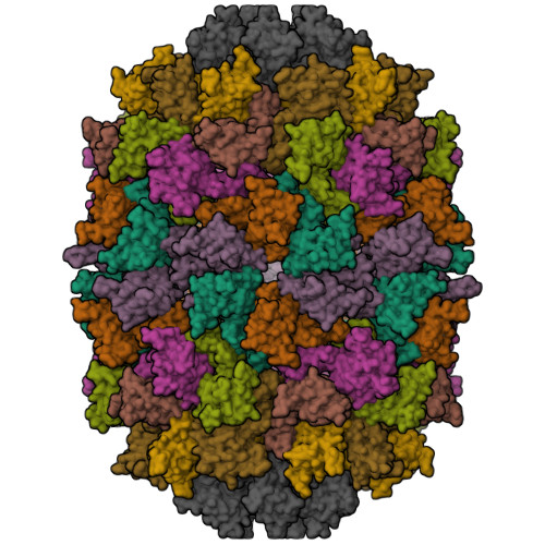 RCSB PDB - 6SSK: Human endogenous retrovirus (HML2) mature capsid ...