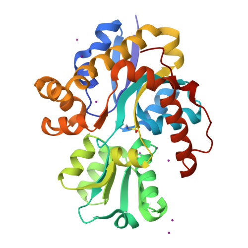 RCSB PDB - 6STL: Taurine ABC transporter substrate binding protein TauA ...