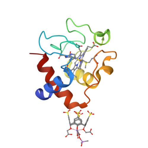 RCSB PDB - 6SUV: Horse cytochrome c complexed by octa-anionic calixarene